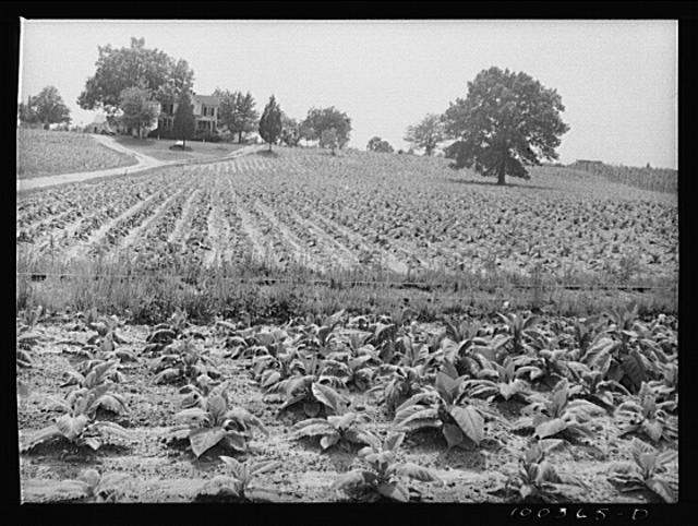 Early American Crime › An exploration of crime, criminals, and ...